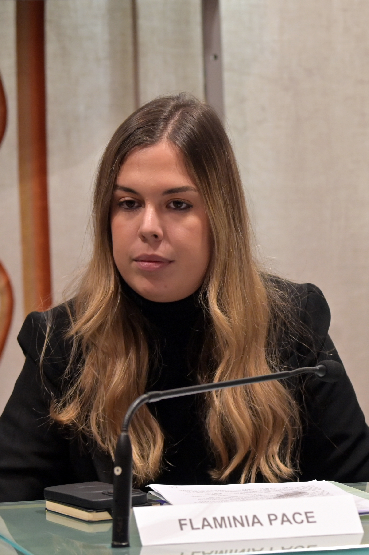 Insulti antisemiti, Pace e Segnini si dimettono